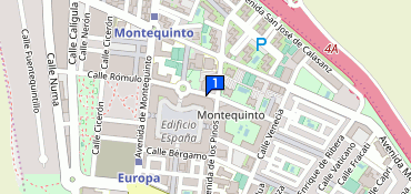 CLÍNICA DEL PIE MONTEQUINTO. Dra. Raquel García De La Peña, C. Mesina, 8